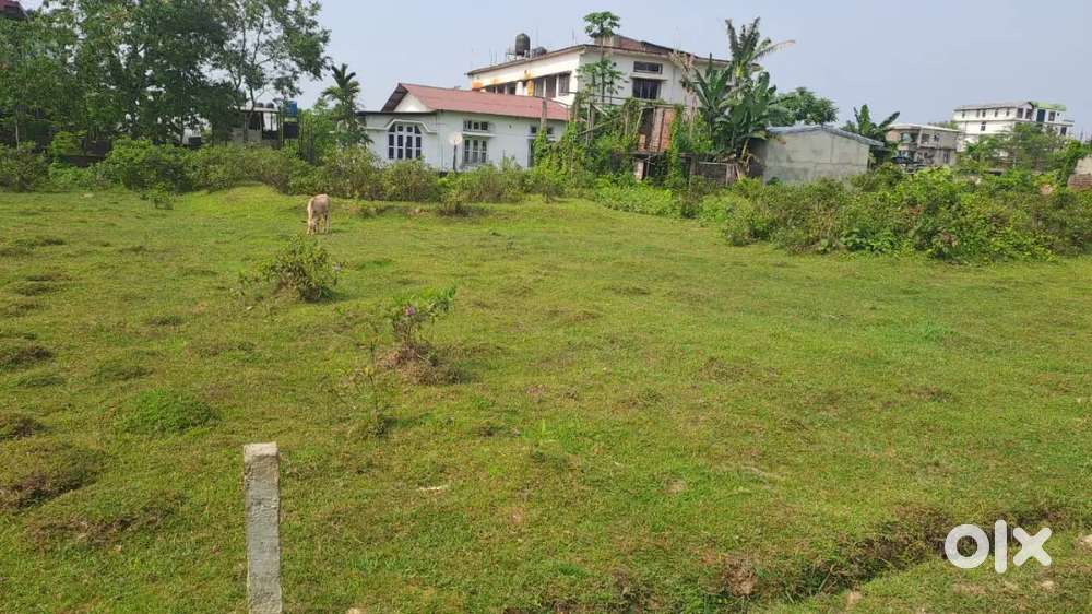 At tarajan, near medical college, at Bisoi Nagar and pulibar - Lands ...