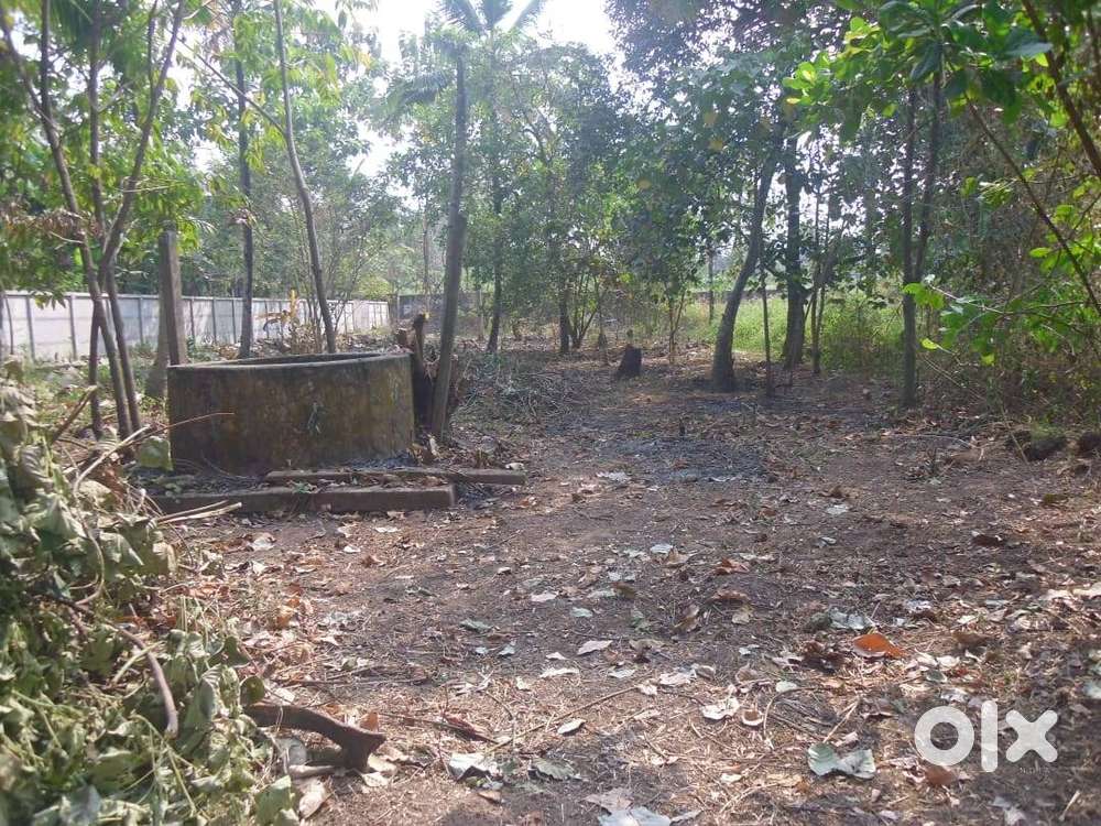 Kottiyam Land for sale - Lands & Plots - 1807297596