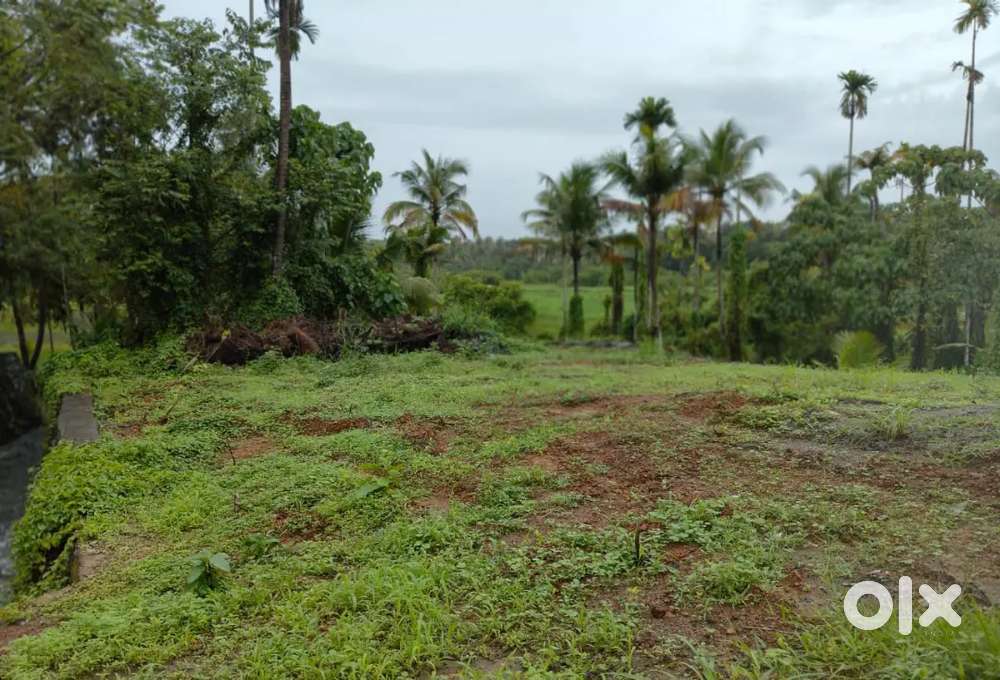 30 cent land for sale.suitable place for home stay and Resorts - Lands ...