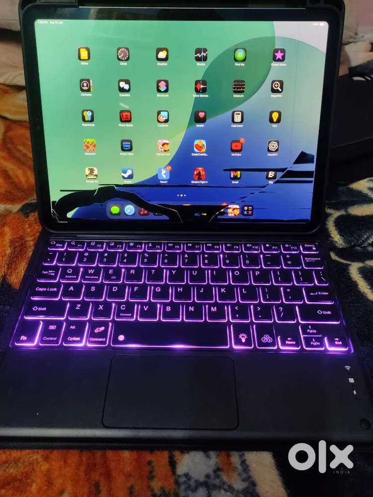 Apple iPad Pro 11 (2020) 256GB – Display Bleeding, slightlyTouch issue ...