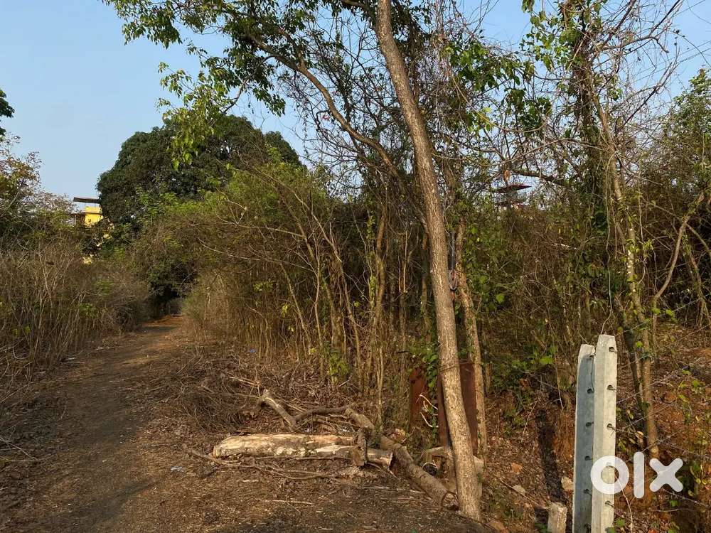 Sanad plot for sale behind healthway hospital old goa - Lands & Plots ...