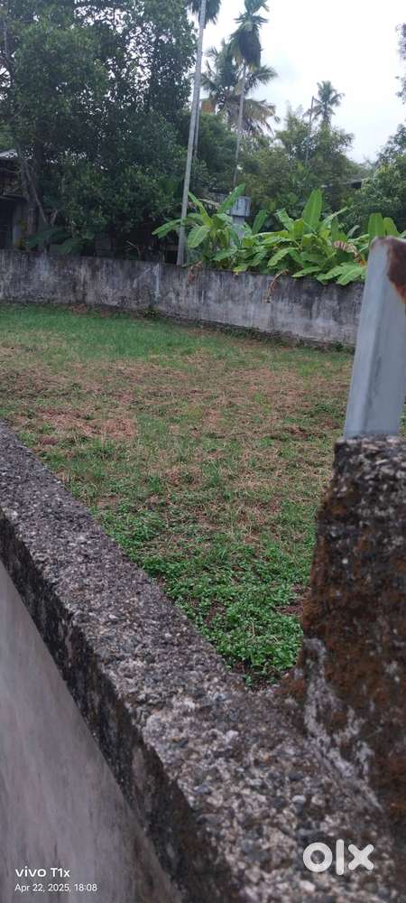 6cents house plot for sale north paravoor,karimpadam - Lands & Plots ...