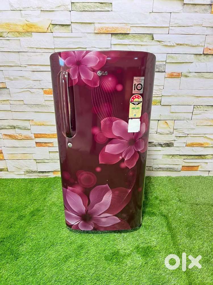 LG I#NVERTER MODEL SINGLE DOOR REFRIGERATOR FLOWER DESIGN MODEL190 LTR ...