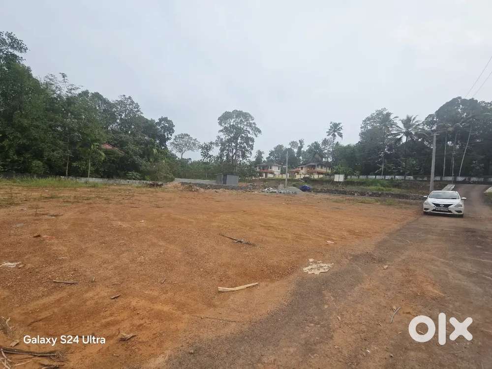 3 lac / 8 cent Land in Thengana - Lands & Plots - 1826019724