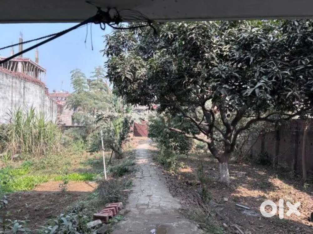 Room For Rent - Rent Houses, Apartments and Flats in Patna | OLX