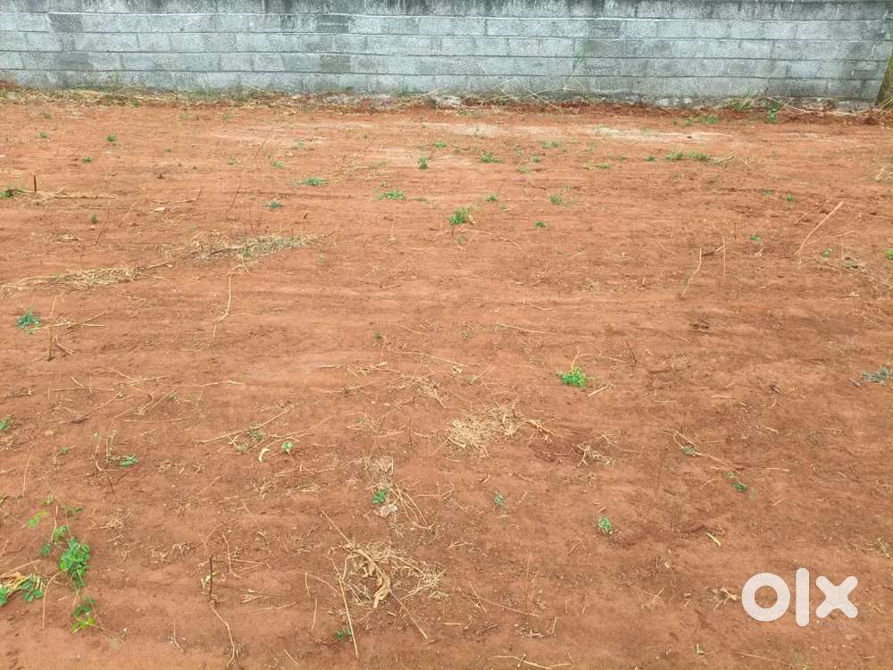 4+5+7+10 Cent Gurukulam Road Nagercoil Kanyakumari District - Lands ...