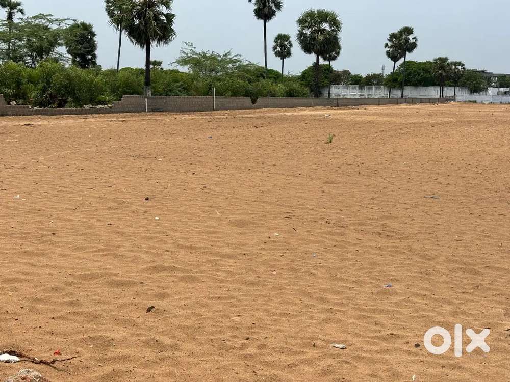 Beach view plot for sale - Lands & Plots - 1807247224