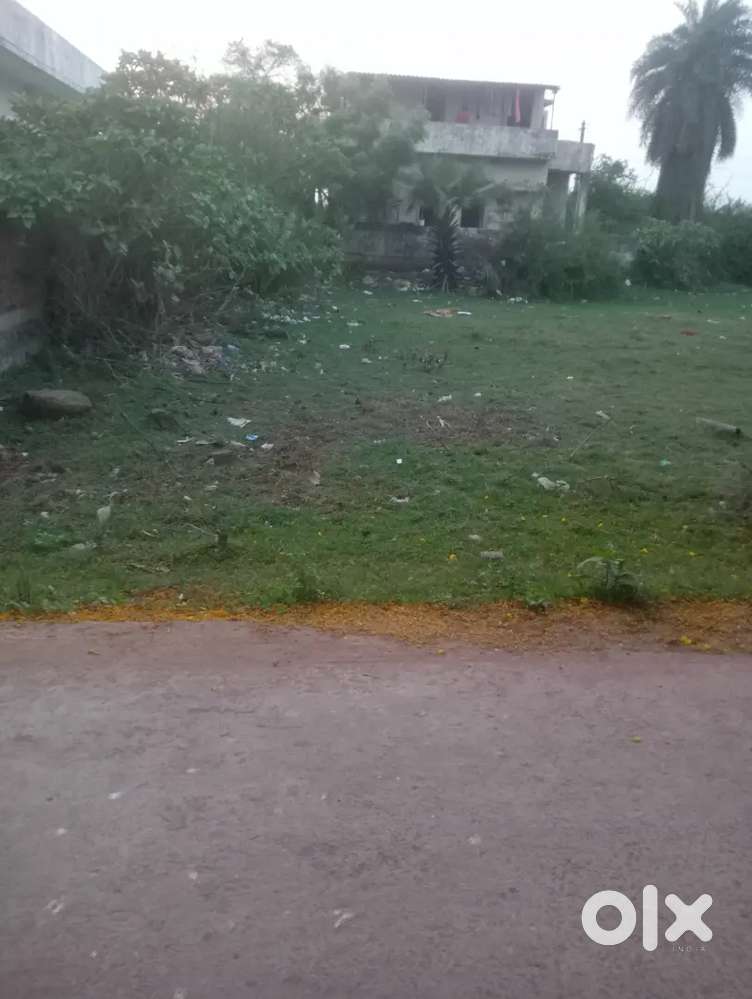 Near achimpeta junction repaka - Lands & Plots - 1804846312