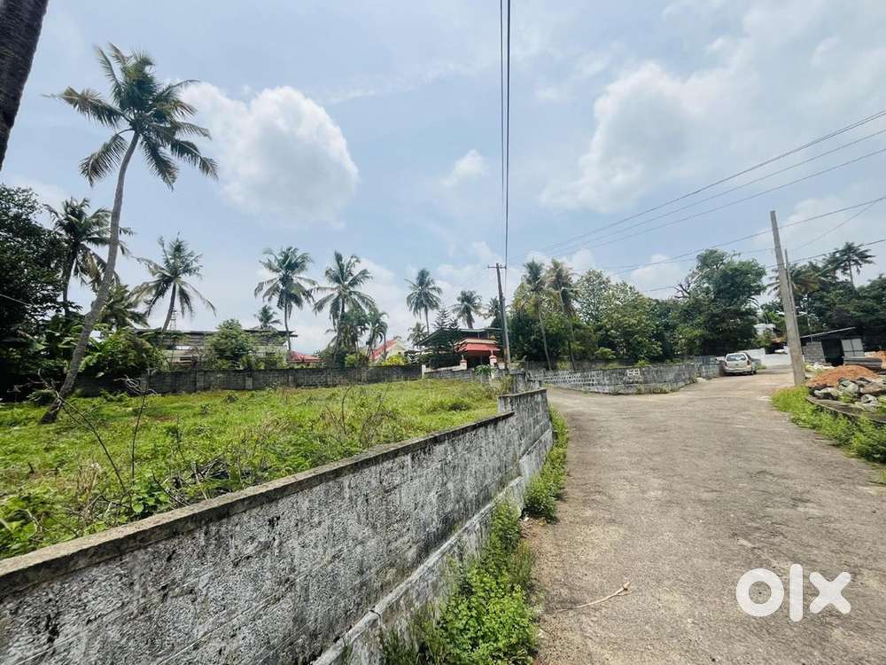 7 cent land for sale parijatham road 100 mtr main road - Lands & Plots ...