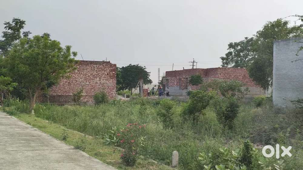 Plot is in Reliance Colony Nabha, Near by Preet Tractors - Lands ...