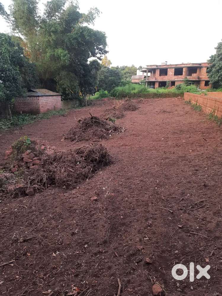20 cent land/plot - Lands & Plots - 1824459467