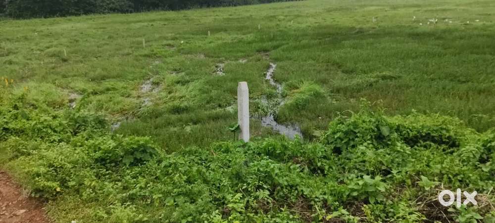 GHARABARI PLOT NEAR CUTTACK PURI NH BYPASS BHUBANESWAR - Lands & Plots ...