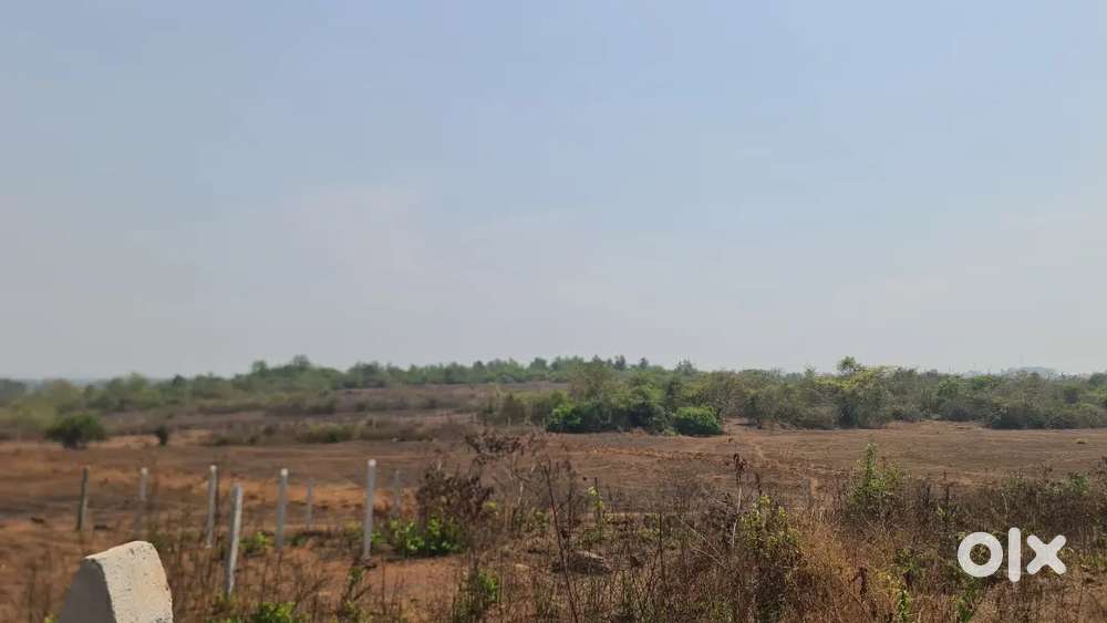 Lands & Plots For Sale in Goa | OLX