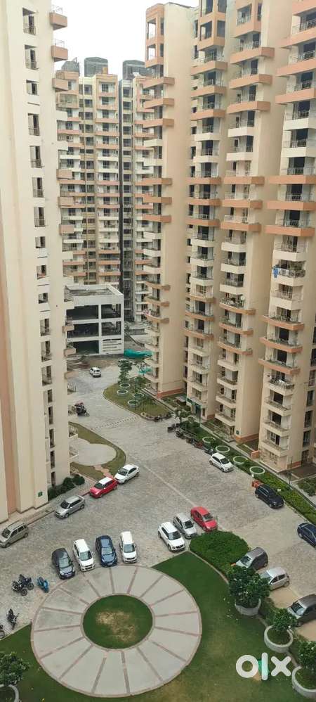 Flat For Rent - Rent Houses, Apartments and Flats in Noida | OLX