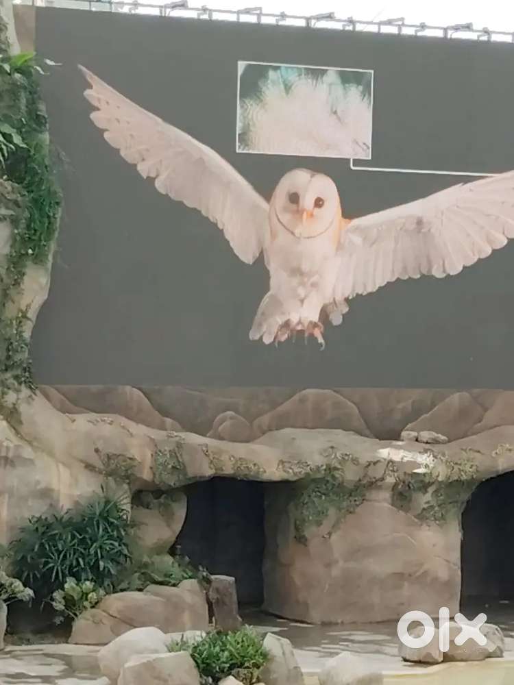 Wanted maid for part time cleaning and washing - Other Jobs - 1802830565