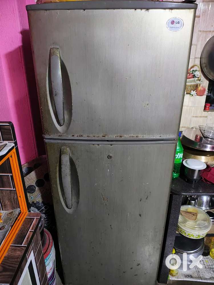246 lit,LG fridge, 12 or 13 year old. - Fridges - 1801226778