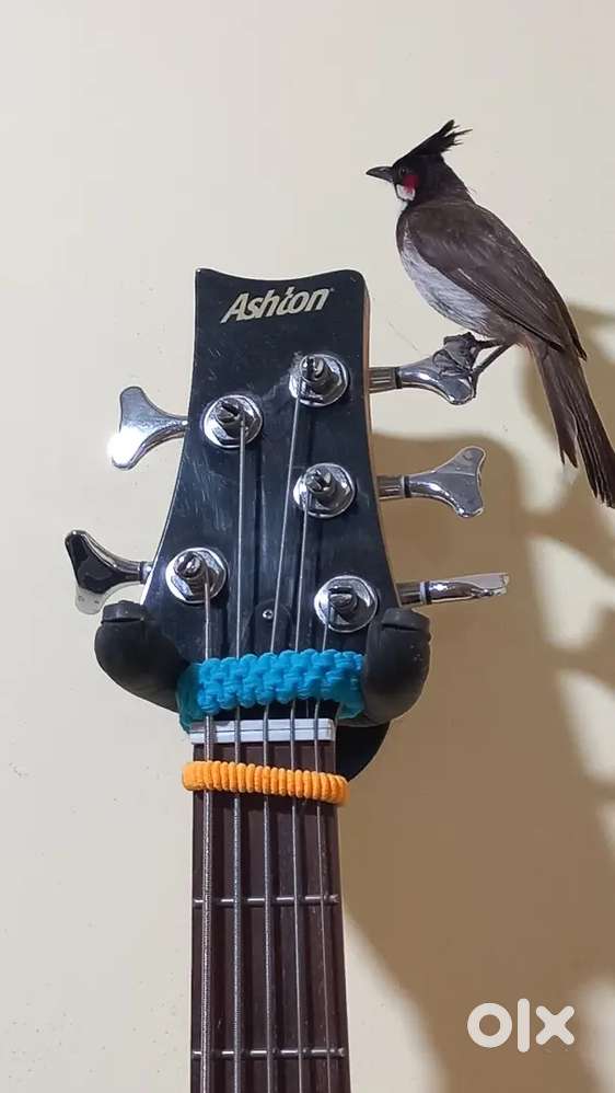 Ashton 5 string bass guitar - Musical Instruments - 1793514797