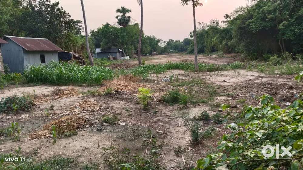 My own property - Lands & Plots - 1808195661