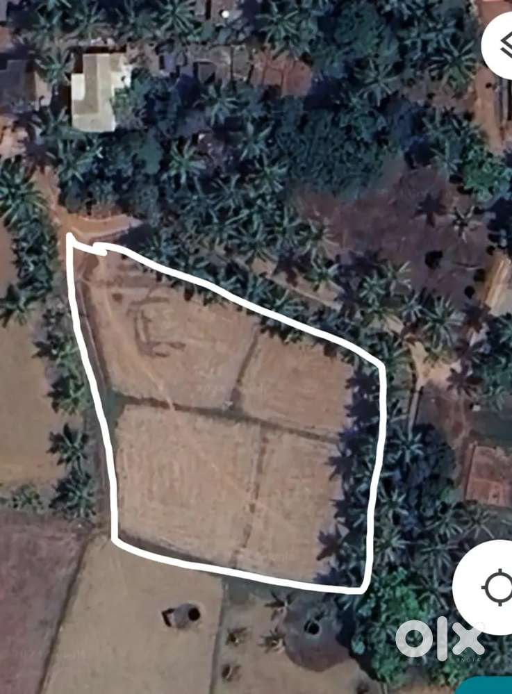 66 cent Land, access to panchayat road - Lands & Plots - 1792403564