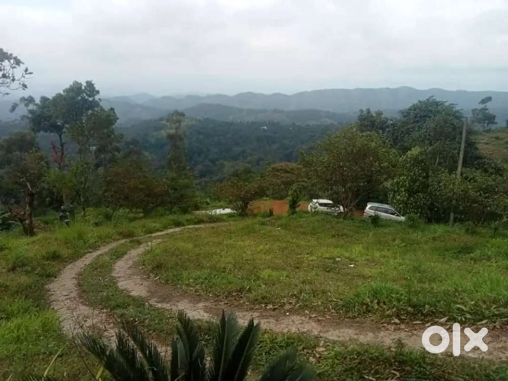 Idukki Kalverymount NH 183 Frontage 10 AC Land with 3 BHK homestay ...