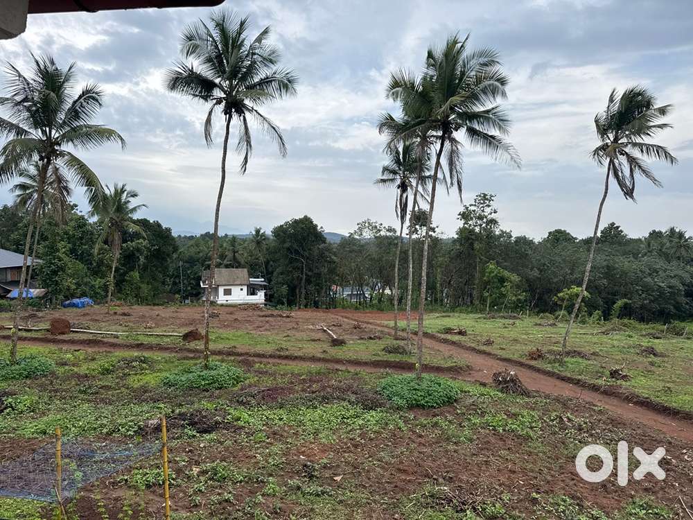 700m from chungathara town - Lands & Plots - 1821644775