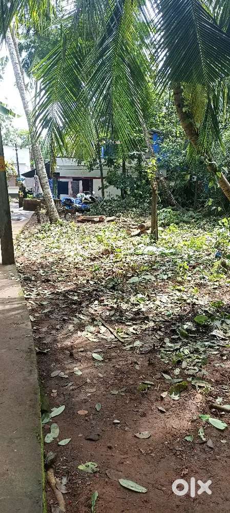 4.5 cent plot for sale - Lands & Plots - 1811482469