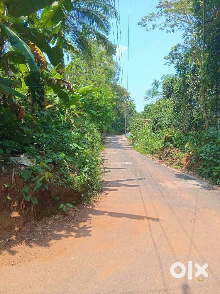 10 cent square plot with PWD road access in 2 sides - Lands & Plots ...