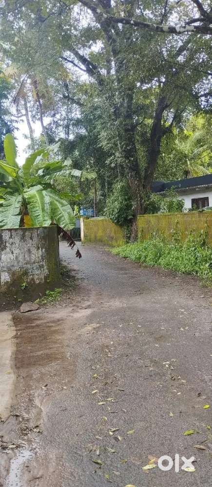8-16 CENT PLOT FOR SALE IN THURAVOOR(cherthala) - Lands & Plots - 1817345249