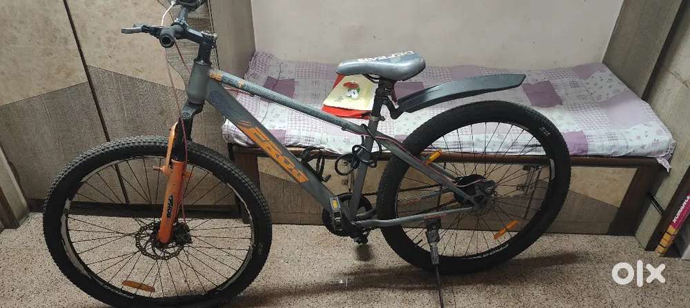 Frog defeater cycle store