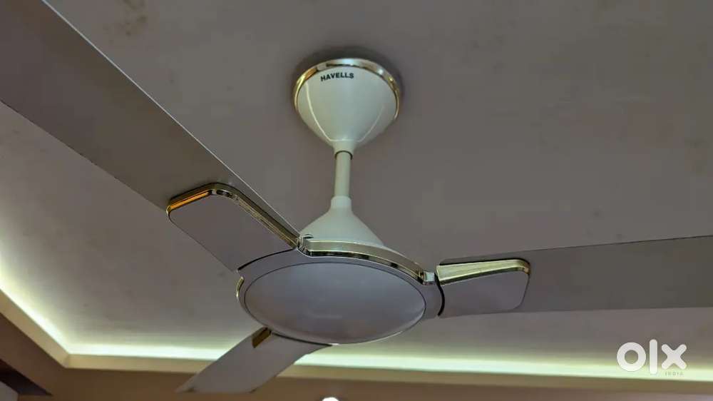 Ceiling Fans 4 Nos - Havells - all White colour - - Kitchen & Other Appliances - 1794100537