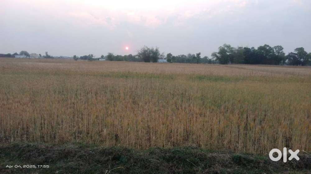 Premium Multi-Purpose Land for Sale in Barun, Aurangabad (Bihar ...