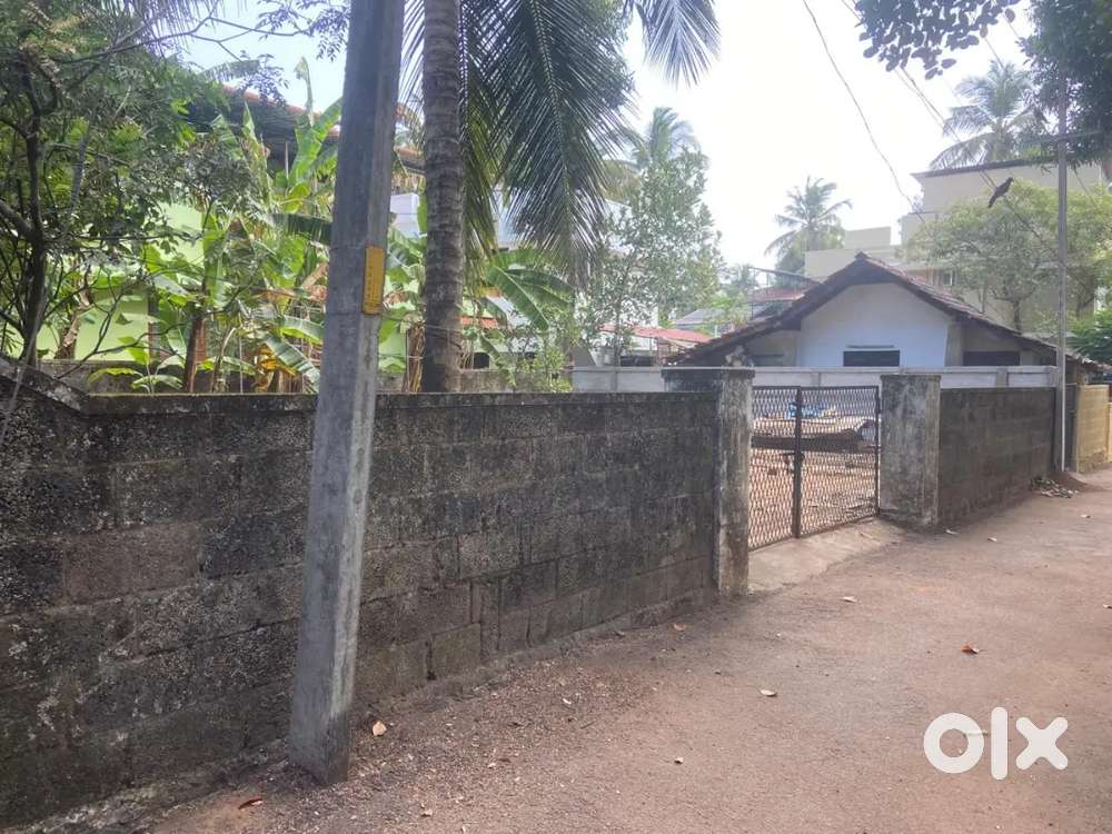 Viyyur – 5 Cents Residential Plot, - Lands & Plots - 1793531346