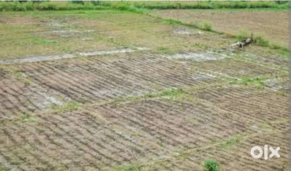 1 acre jameen bechna hai - Lands & Plots - 1818748908