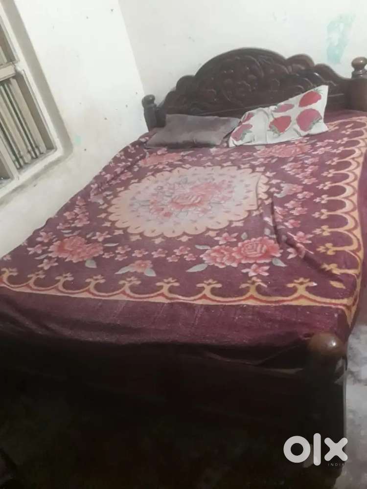 Rental Room - For Rent: Houses & Apartments - 1816652599