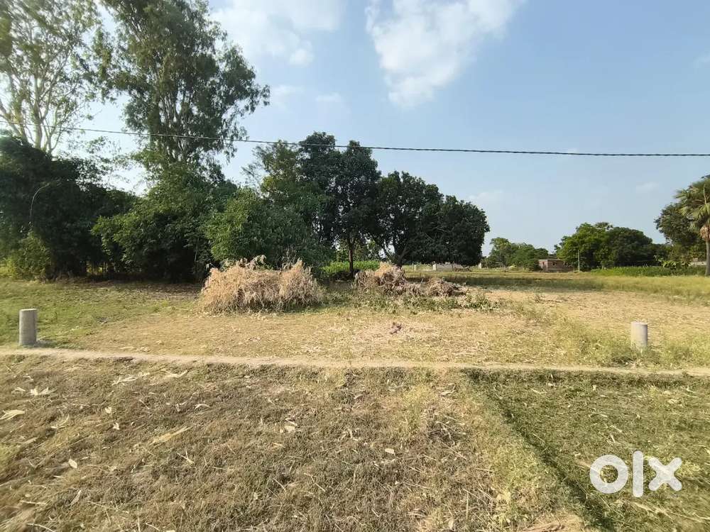 My own property - Lands & Plots - 1813530160