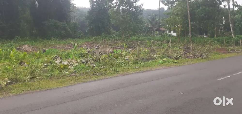 25&50 cent premium house plot at Pala municipality mundupalam - Lands ...