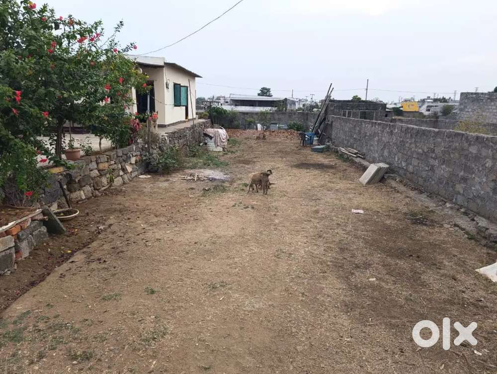 Arjent required money - Lands & Plots - 1807250894