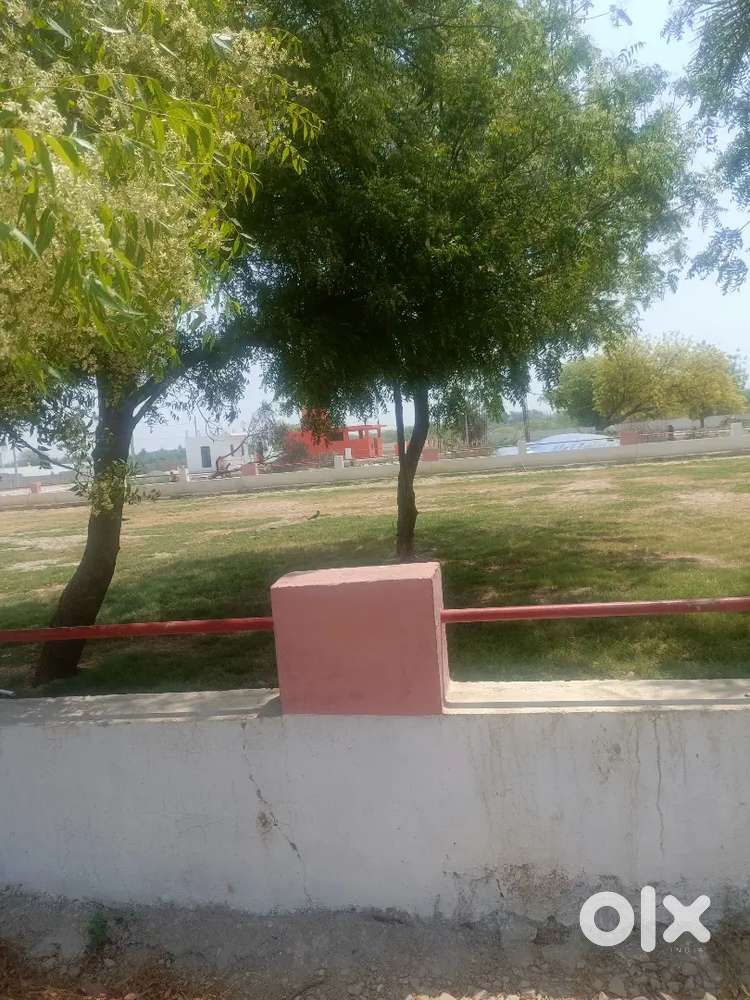 Farm 4 colony m corner plot - Lands & Plots - 1806144052