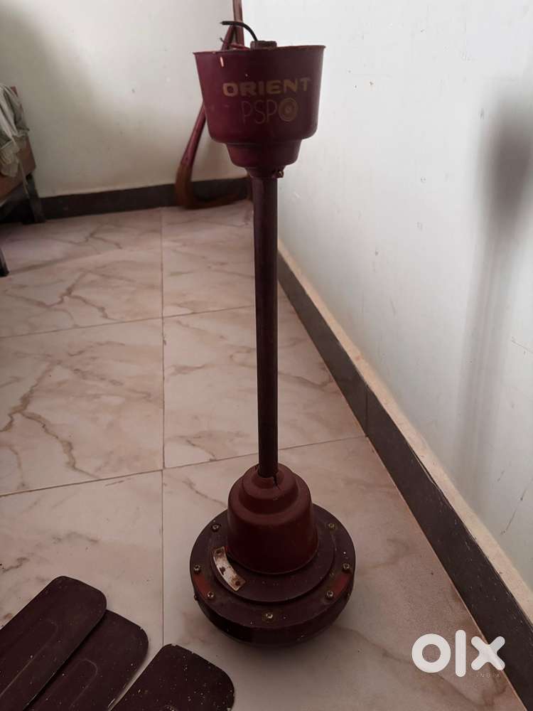 Orient PSPO ceiling Fan - Kitchen & Other Appliances - 1809998569