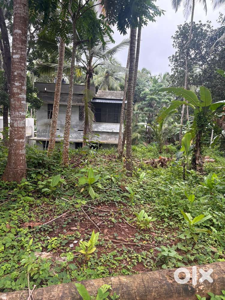 Kakkodi - Chalilthazham 6.50 Cent House Plot - Lands & Plots - 1816237557