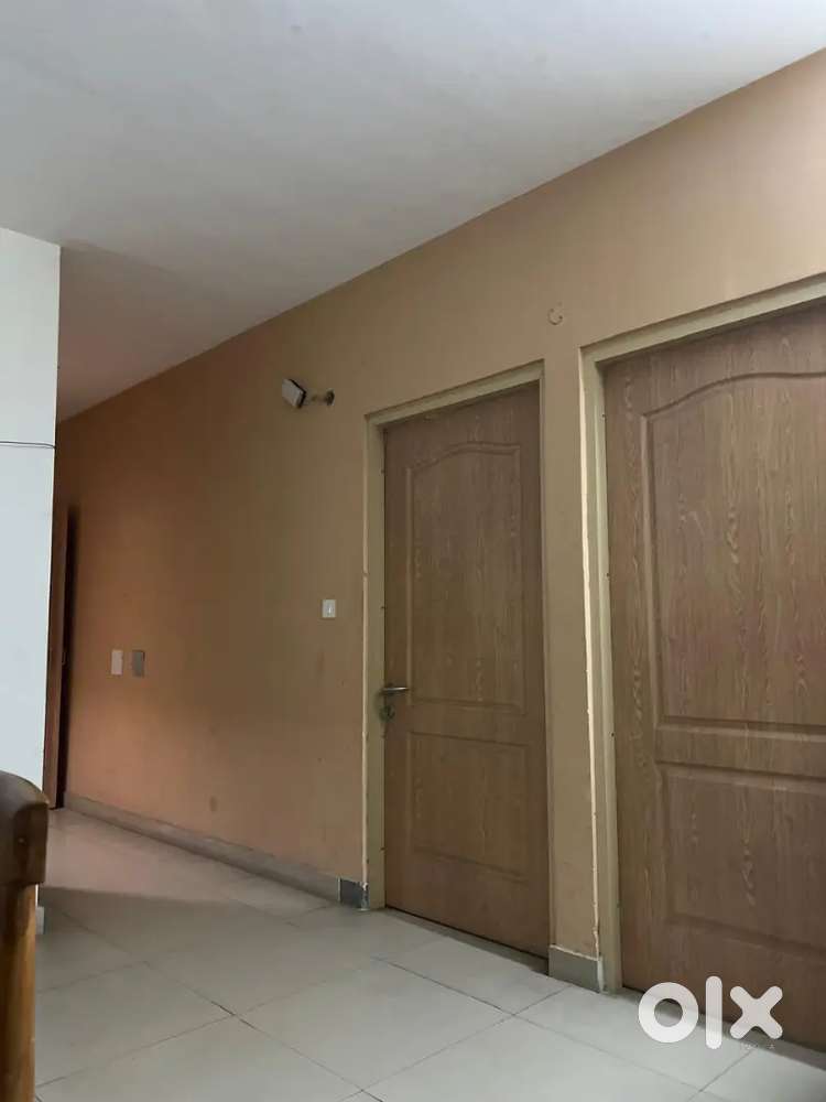 Room rent for bachelors - For Rent: Houses & Apartments - 1809830673