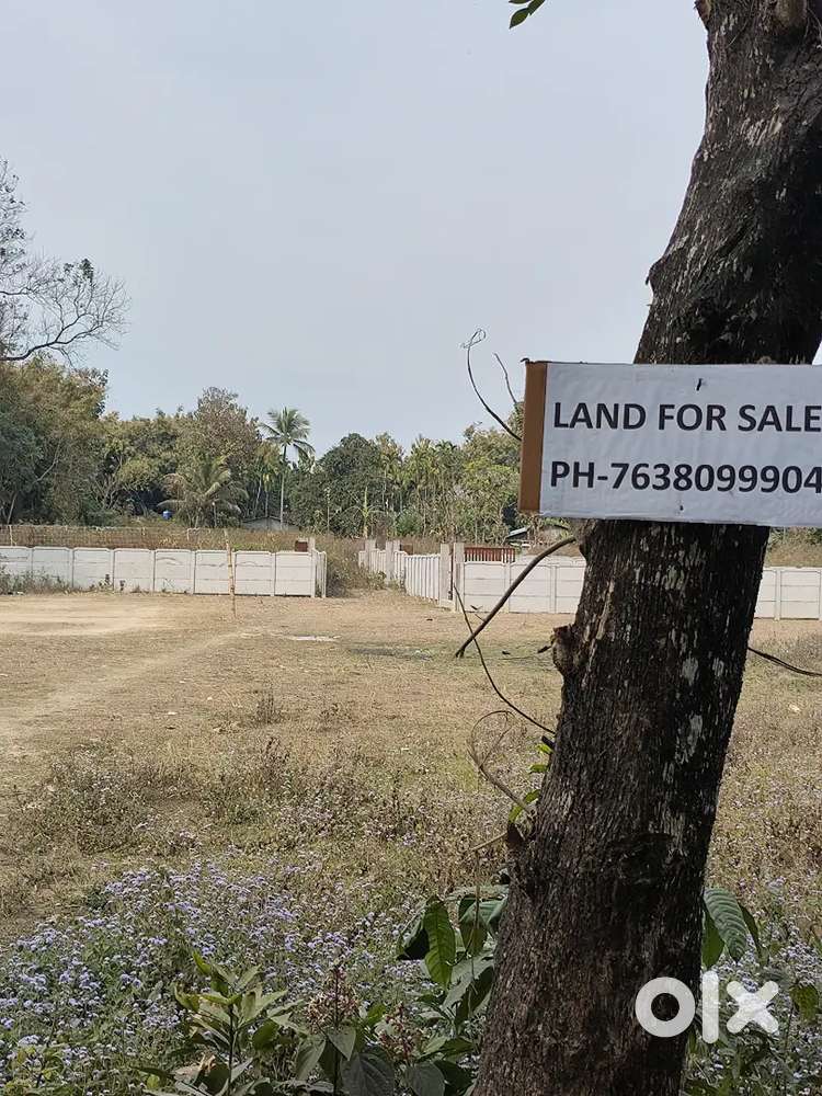 Ghuramari rode - Lands & Plots - 1807570651