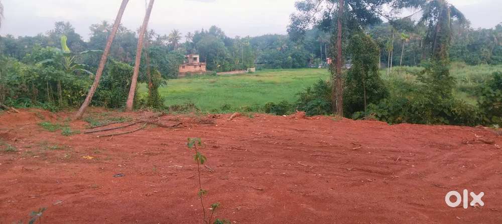 10 cent plot for sale - Lands & Plots - 1794768197