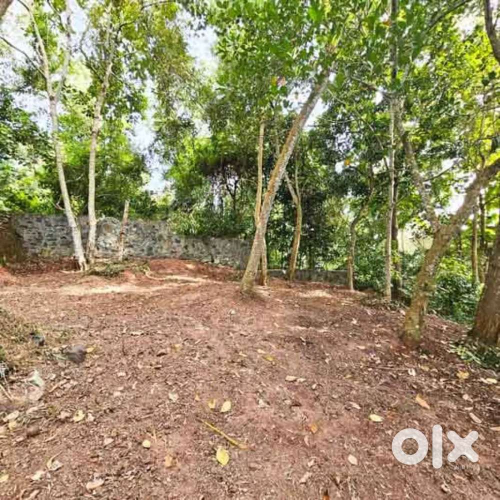 7.5 cent land for sale in kazhakoottam - Lands & Plots - 1814401051