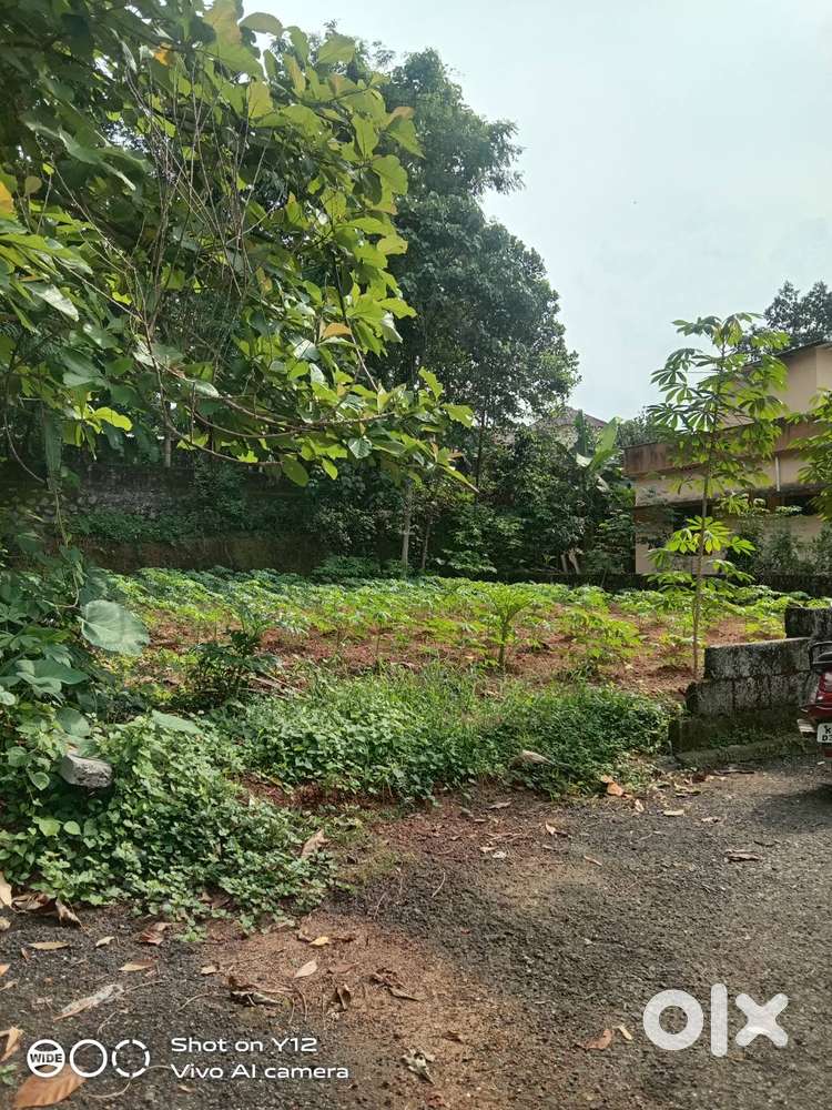 10 Cents land in Pullad - Lands & Plots - 1826500545