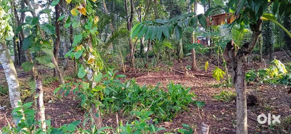 8 cent rectangle plot residential area ,3.25 lakh per cent negotiable ...