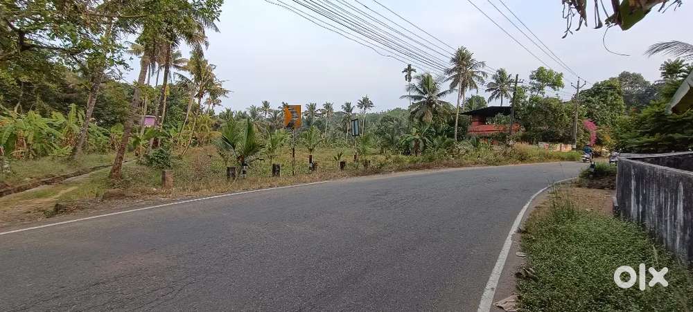 30 acre main road frontage land - Lands & Plots - 1796255251