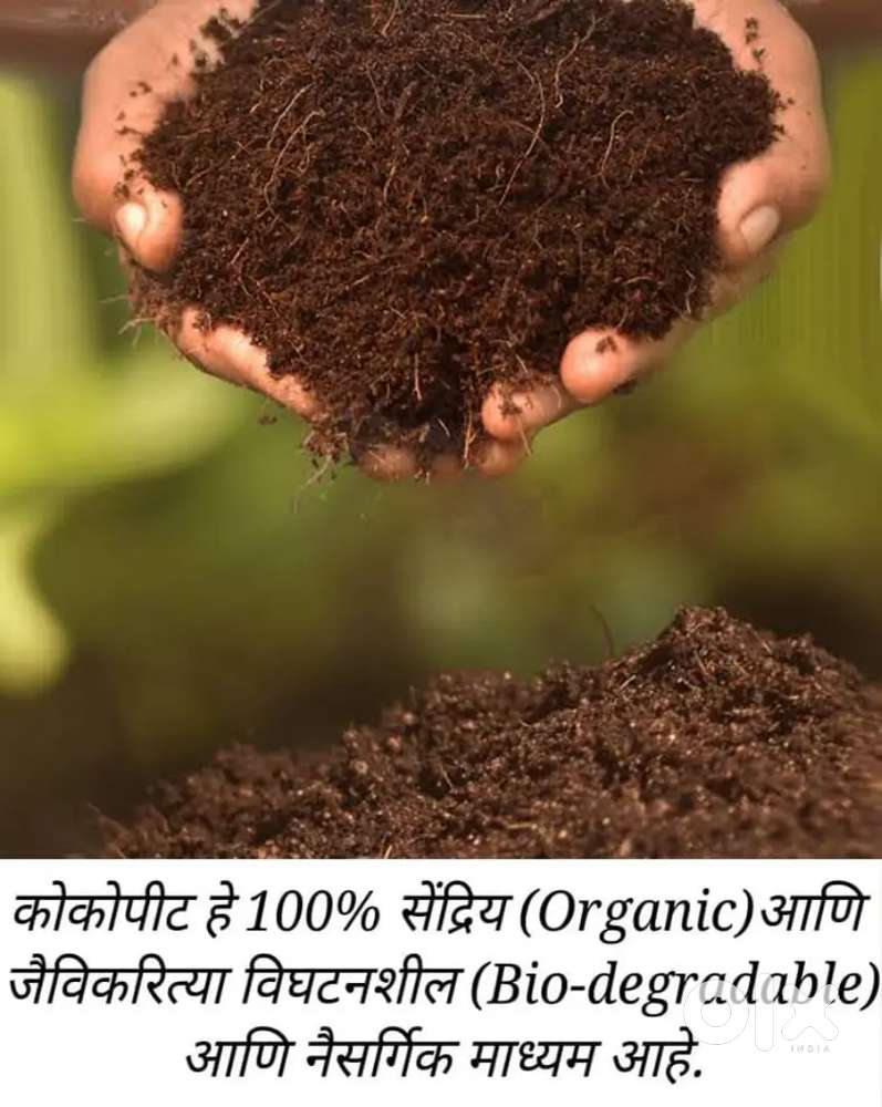 High quality CoCo Peat Mix With Vermicompost - Other Services - 1828274215