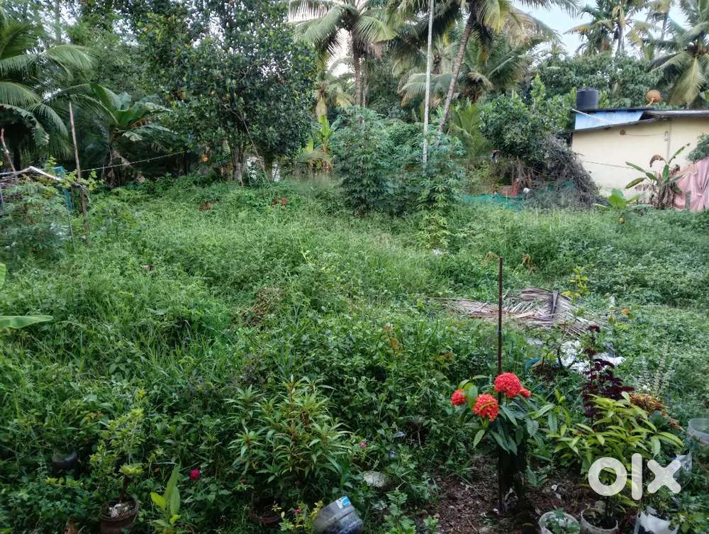 7.8 cent plot for sale. - Lands & Plots - 1812502600