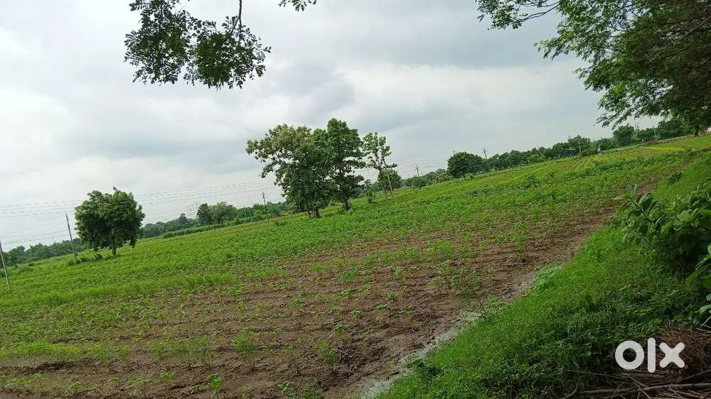 16 acre farm vikne ahe irrigated land - Lands & Plots - 1798129373